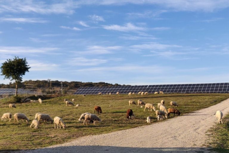 Nuveen Infraestructure launches new independent power producer BNZ to ...
