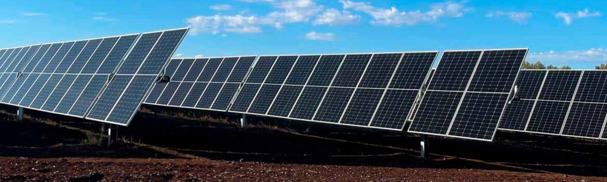 Tremisol Solar - BNZ